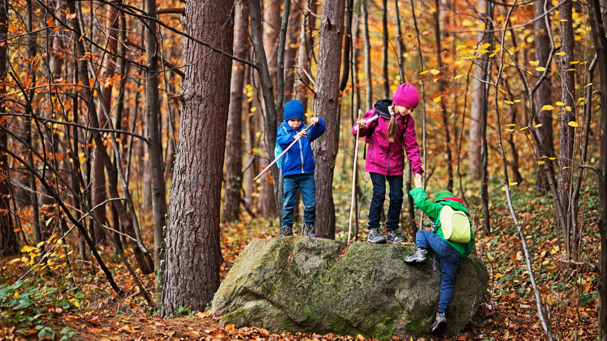 Hiking With Your Kids: Tips to Foster Their Love of the Outdoors
