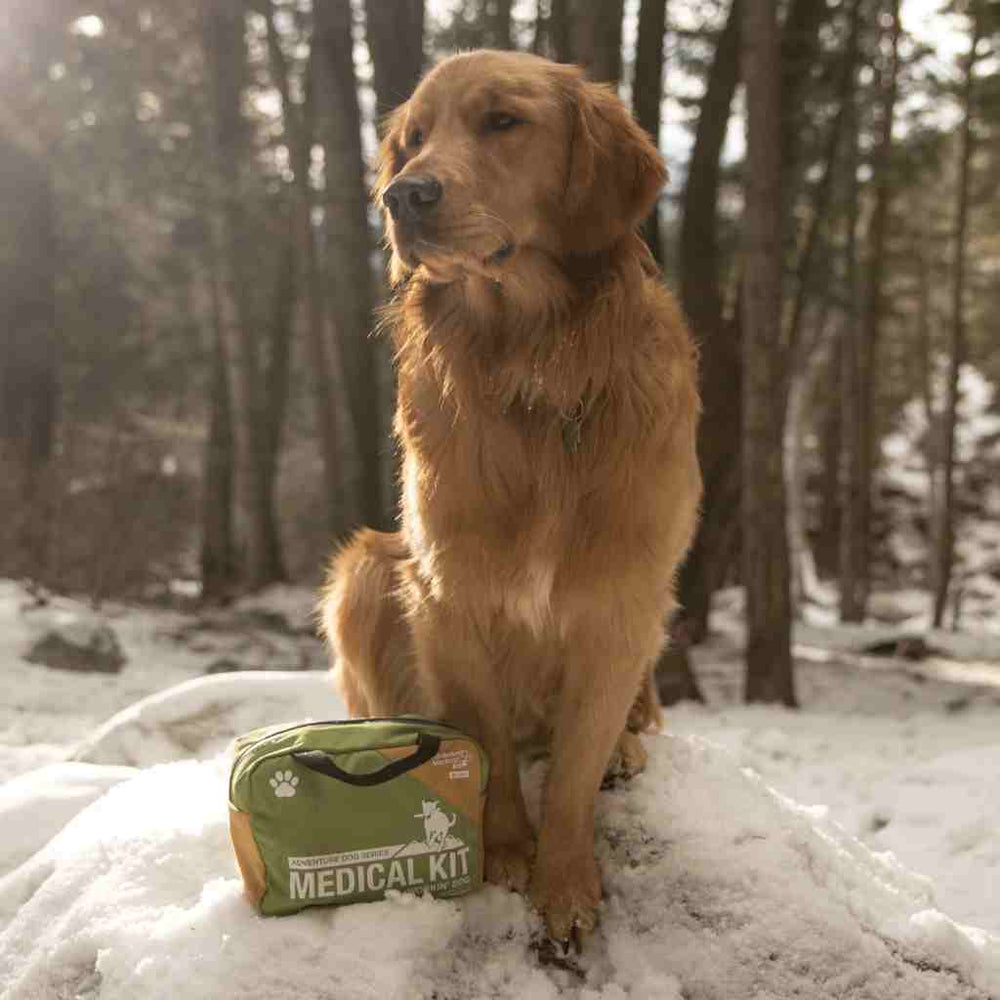 Workin' Dog Field First Aid Kit - Adventure Medical Kits