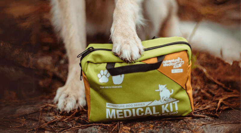 Pro Series Mountain Guide I First Aid Kit - Adventure Medical Kits